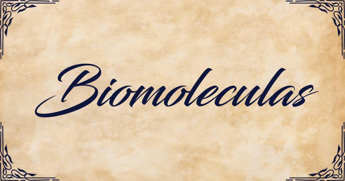 Biomoleculas: Información Completa, Definición, Ejemplos y Más
